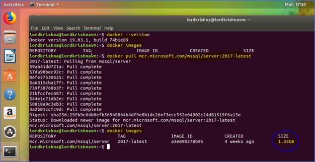 Sql Server 2017 Docker Container And Web Api In Net Core In Ubuntu 1804 9049